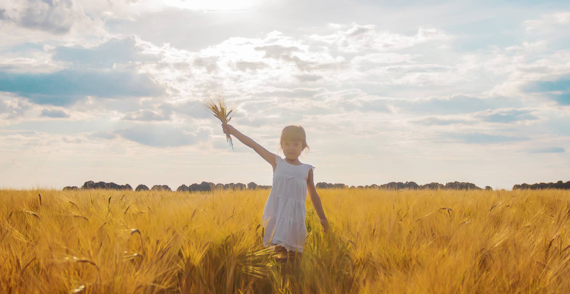 Contact Us - Intra-Vehicle Data Transmission and Display System